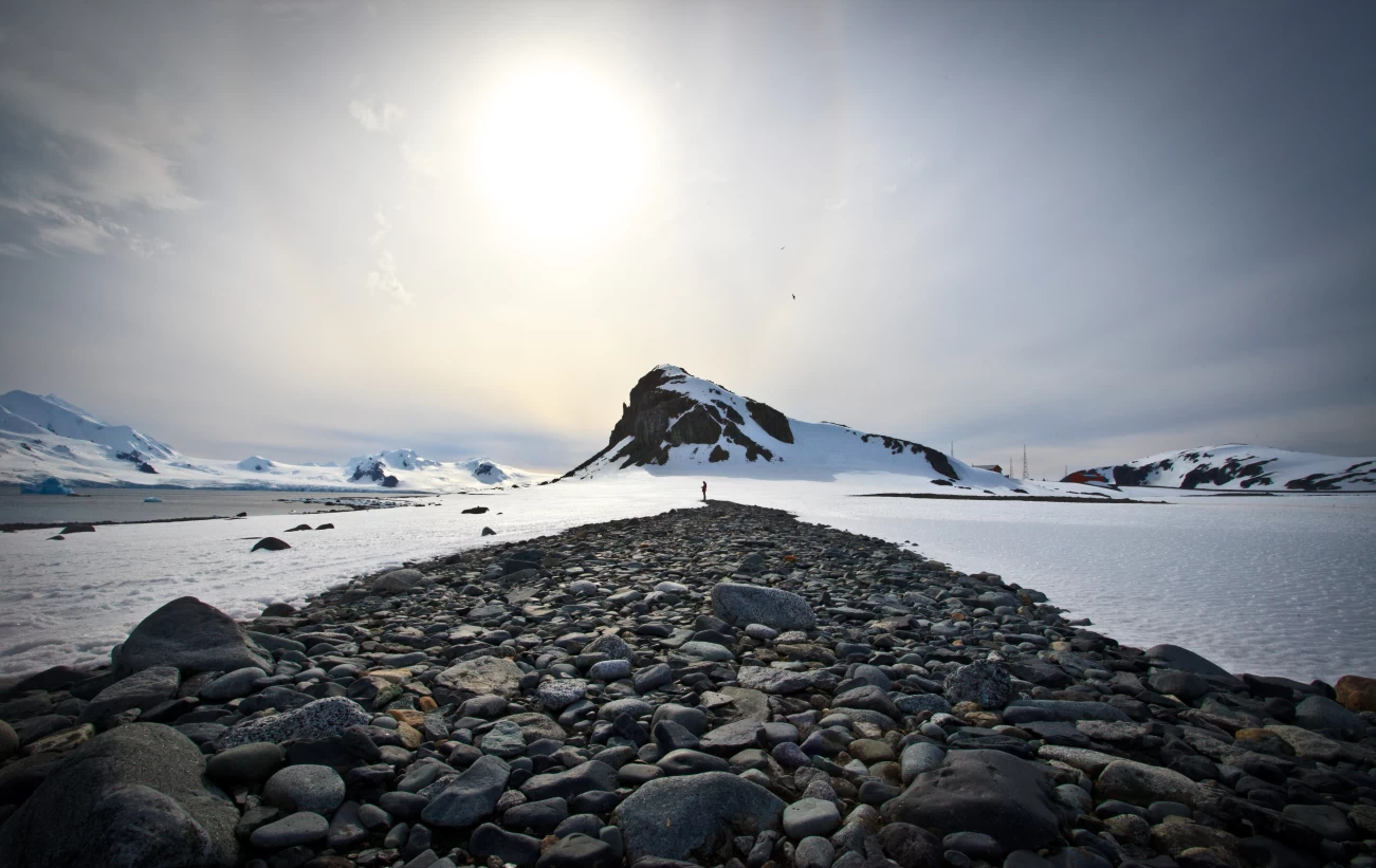 20-Day Antarctic Solar Eclipse Cruise aboard RCGS Resolute
