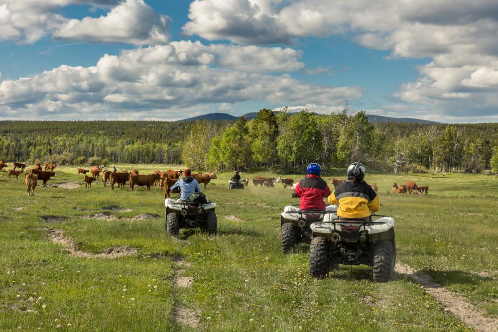 Chilko Experience - British Columbia's Exclusive Wilderness Resort