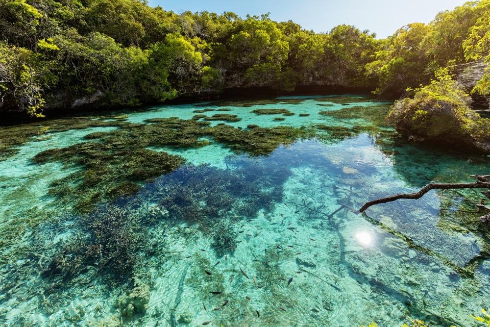 Melanesia Cruise & Travel - Revealing the Mysteries of Melanesia