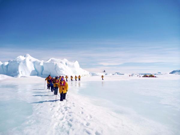 Antarctica Cruise & Travel - Emperor Penguins: Snow Hill Island 2018 ...