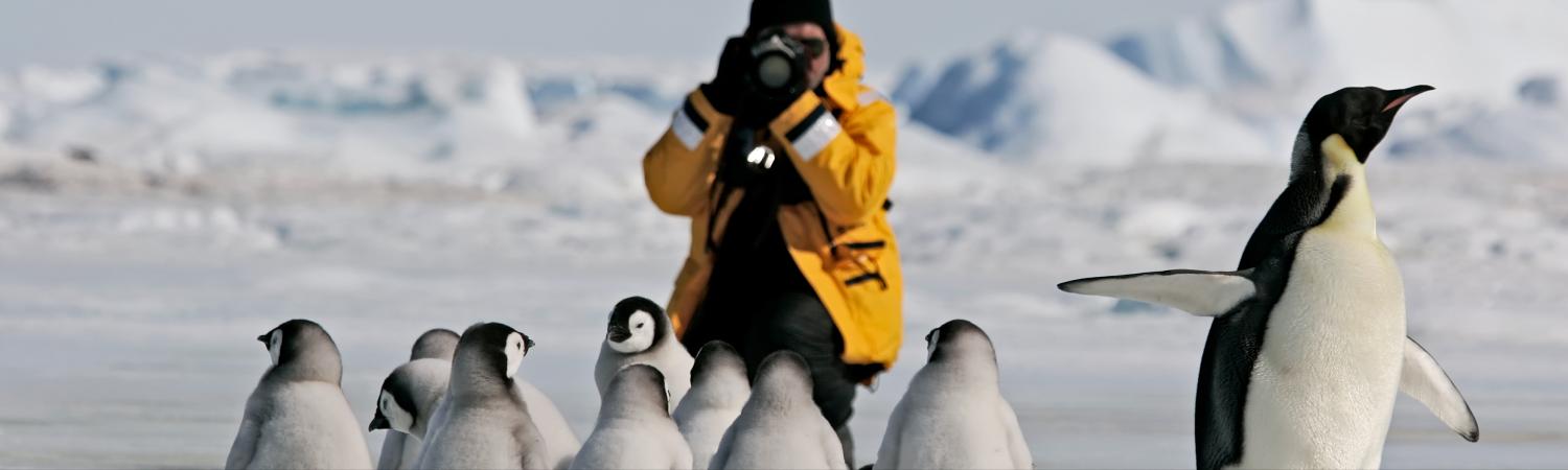 230 Best Antarctica Trips, Tours, Cruises & Vacation Packages ...