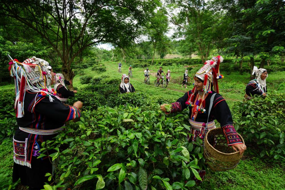Lisu Lodge - Hill Tribe EcoLodge in Chiang Mai