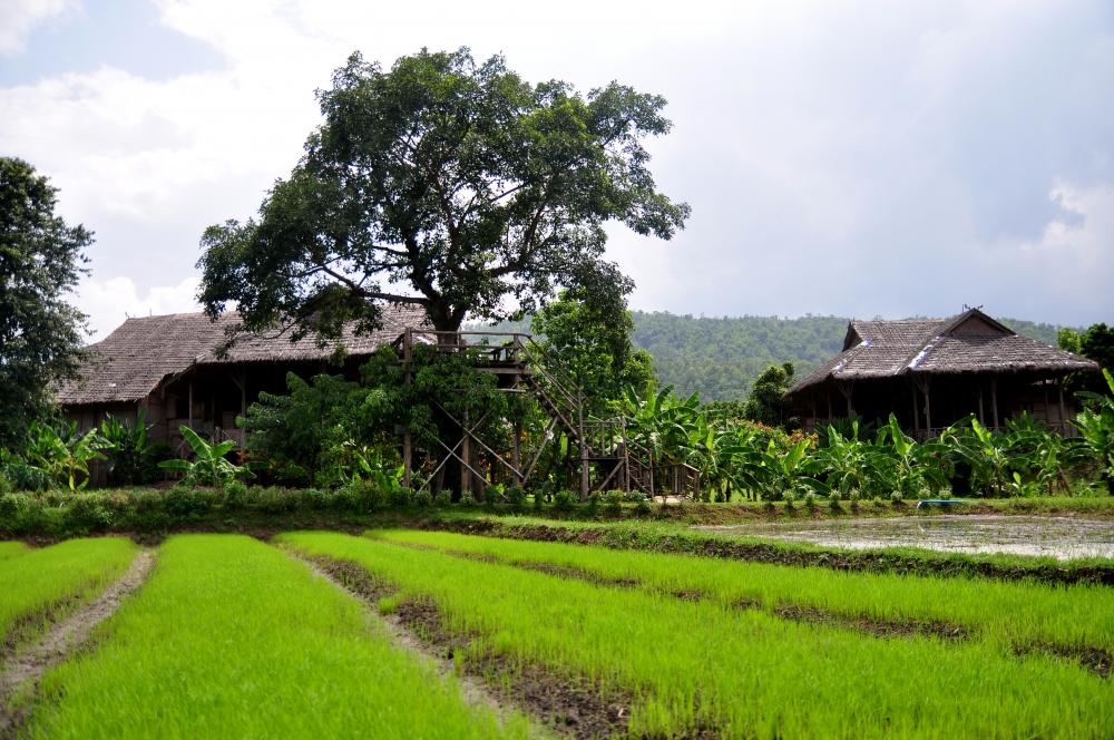 Lisu Lodge - Hill Tribe EcoLodge in Chiang Mai