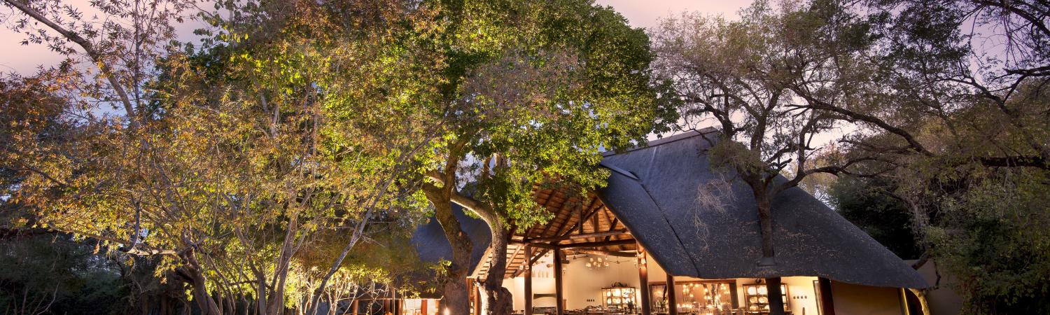 Luxury Safari - Ngala Safari Lodge