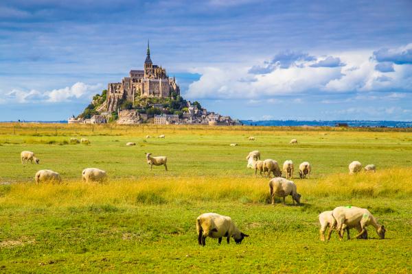 8-Day Paris & Normandy Cruise aboard the Viking River Cruises