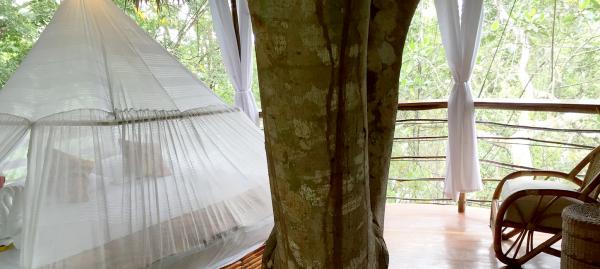 TreeHouse Lodge - explore Peruvian Amazon beautiful nature