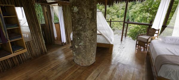TreeHouse Lodge - explore Peruvian Amazon beautiful nature