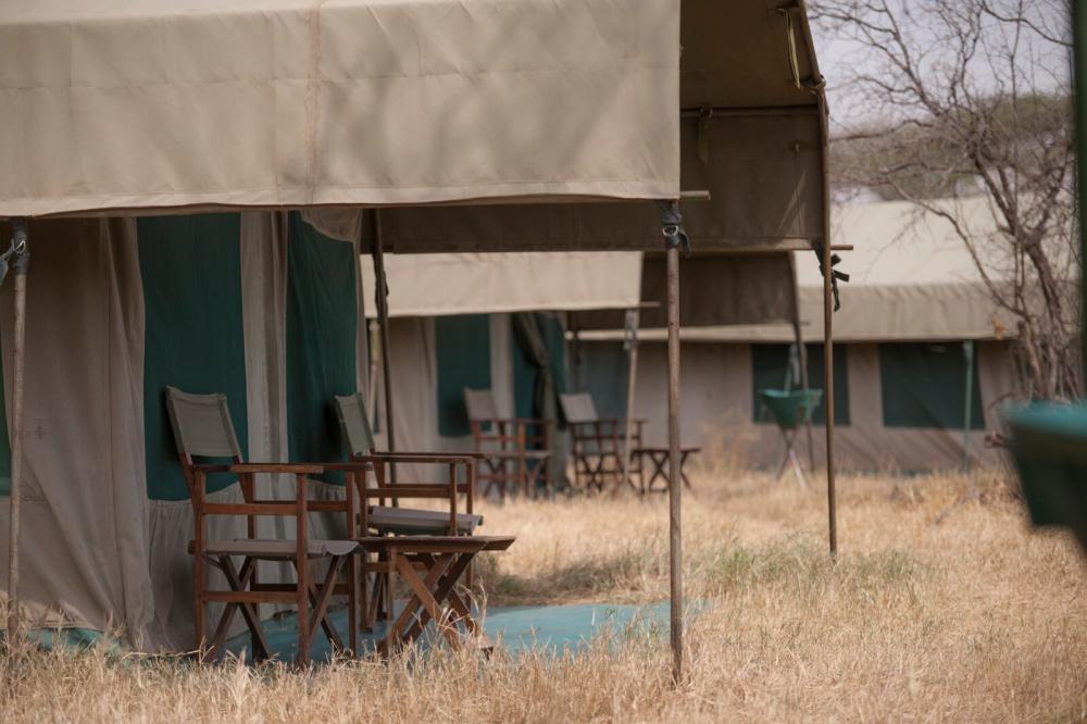 Serengeti Halisi Camp - Stay in a Tented Safari Camp on our Tanzania Tours