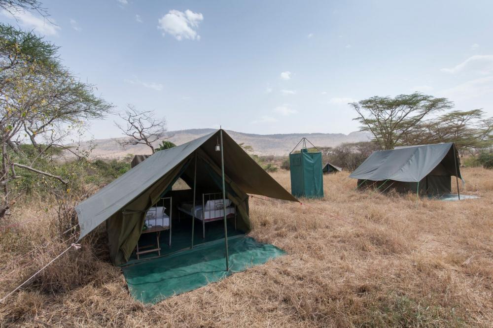 Serengeti Halisi Camp - Stay in a Tented Safari Camp on our Tanzania Tours