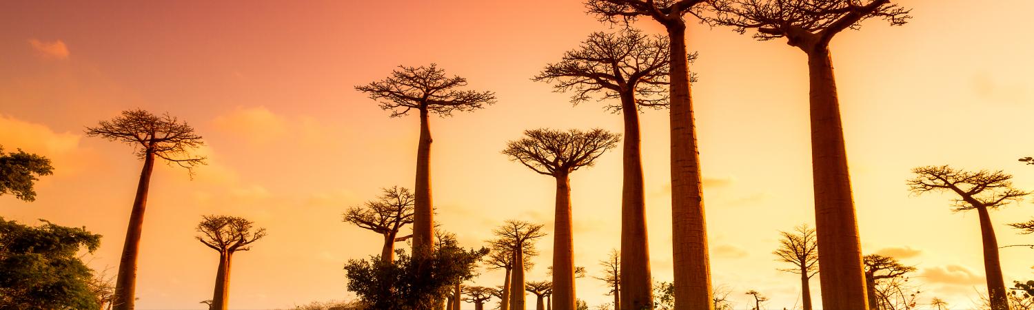 Best Time to Visit Madagascar- Climate, Weather and Seasons