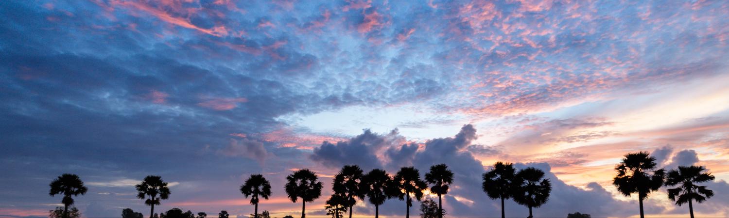 The Best Time to Take a Cruise on the Mekong River - Mekong Delta ...