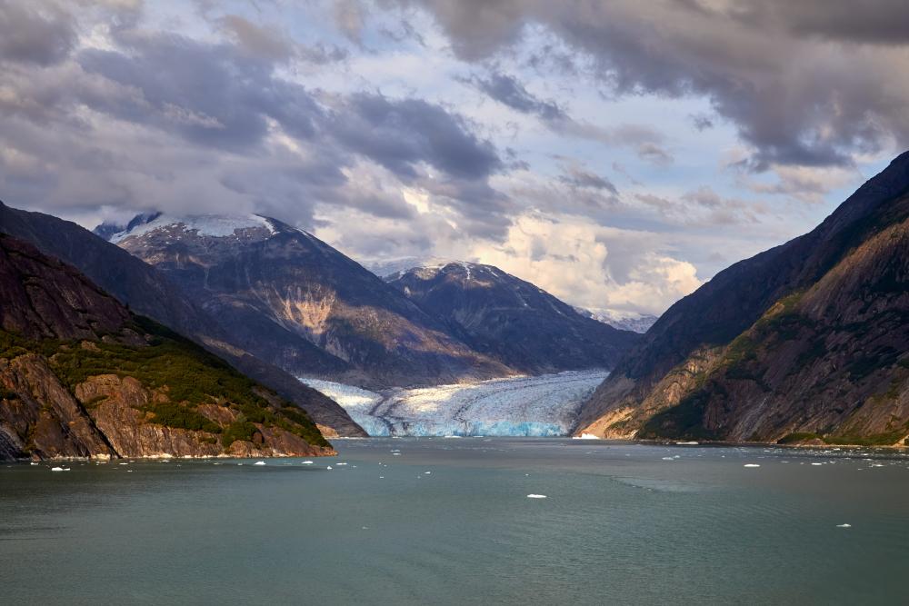 21 Best Endicott Arm Cruises, Trips, and Tours for 2024-2025