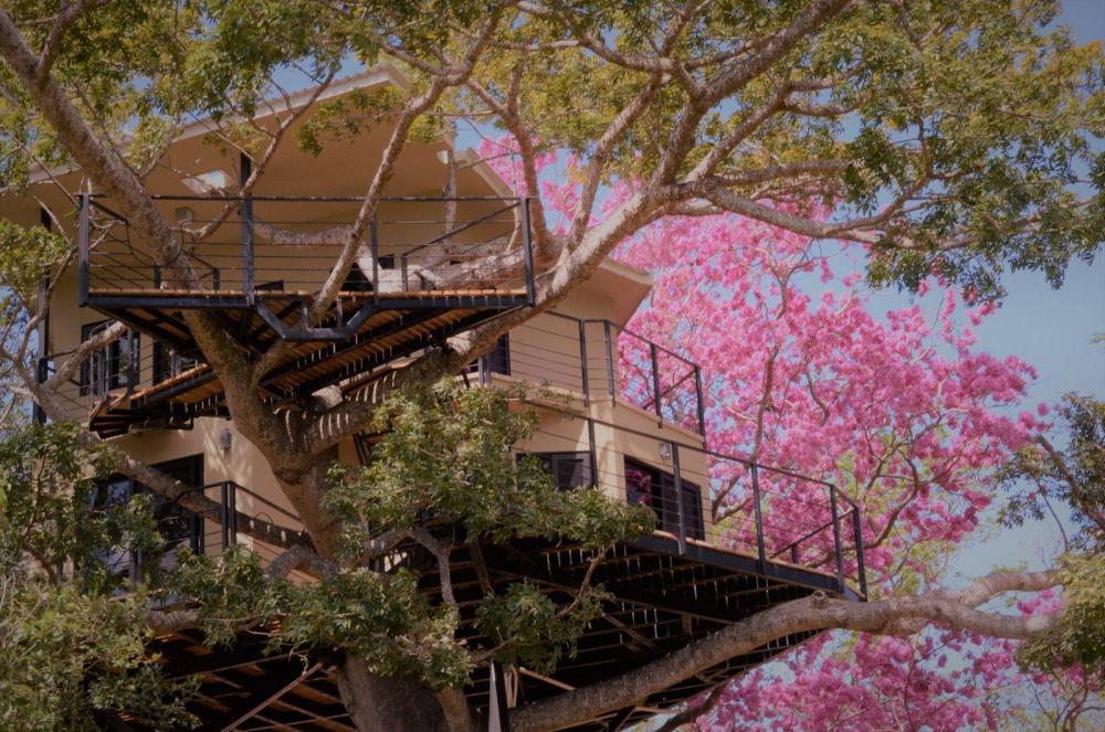 Tree Casa Resort - Enjoy the relaxing experience of the Nicaraguan ...