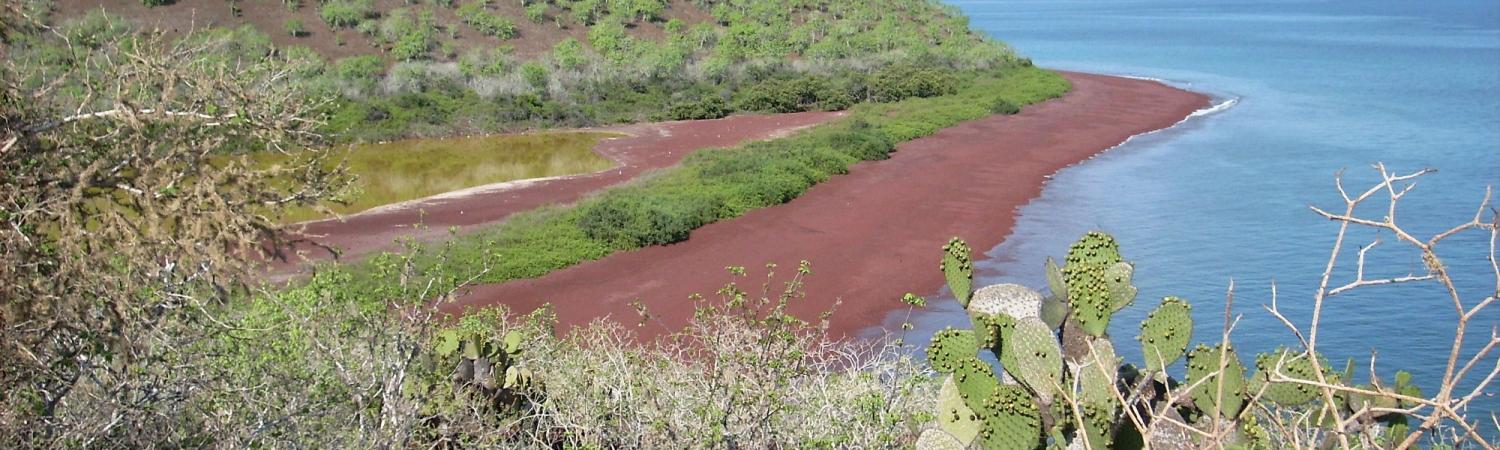 20 Rabida Island, Galapagos Cruises and Tours for 2022-2023