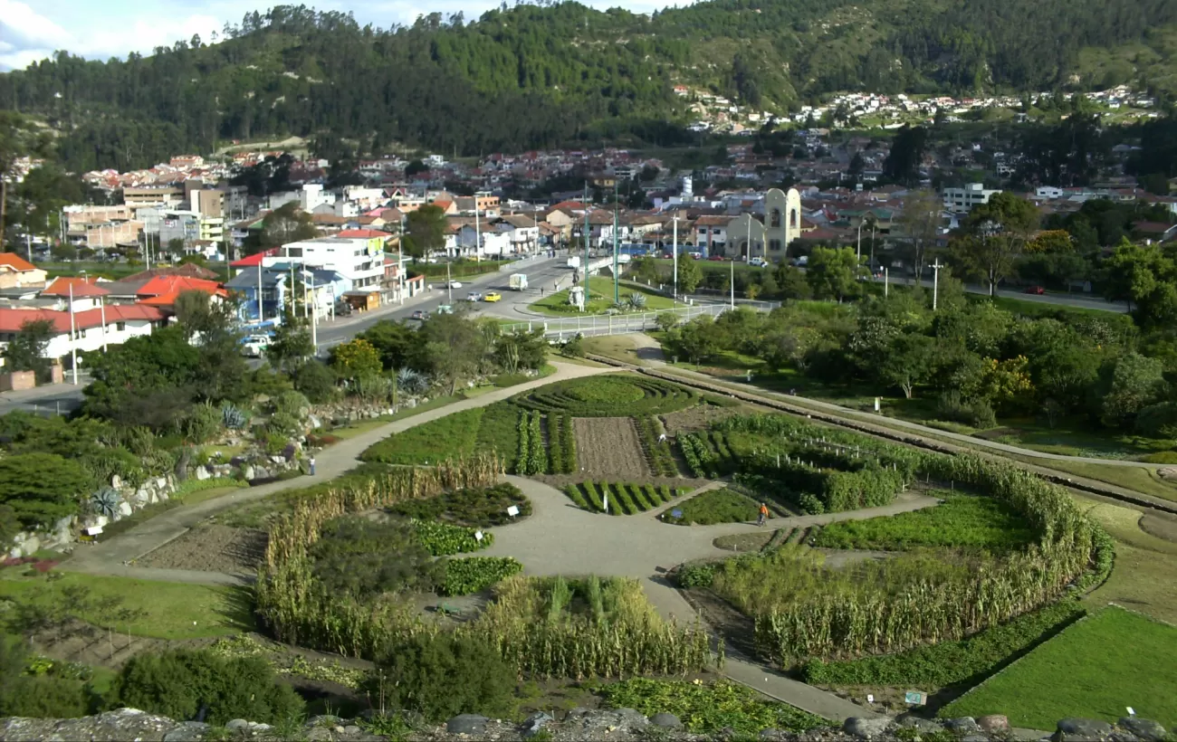 1-Day Cuenca City Tour in Ecuador