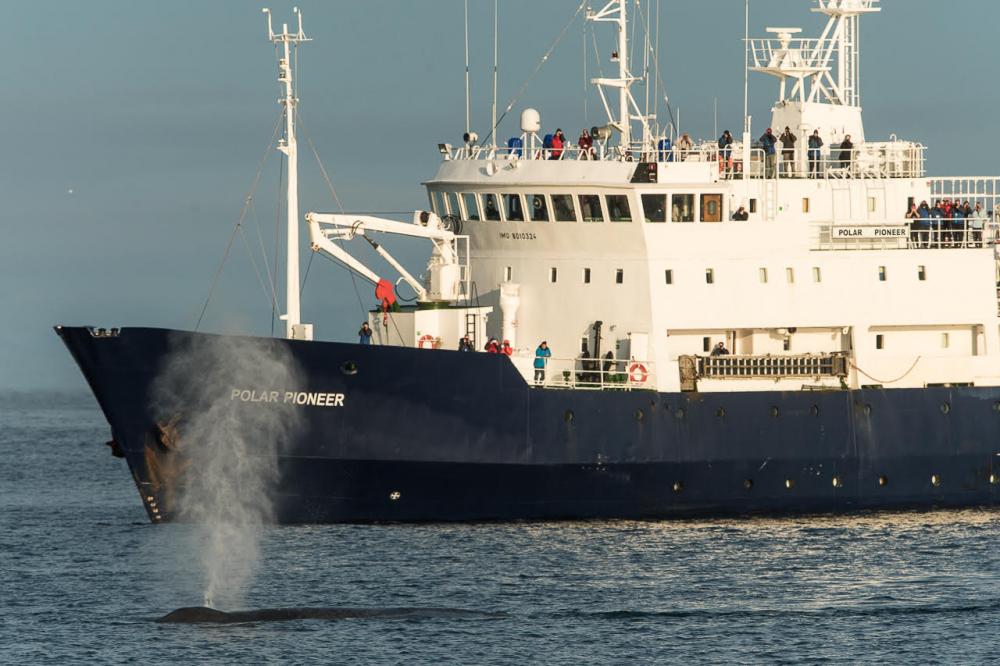 Polar Pioneer Cruise Ship - Arctic & Antarctic Expedition Icebreaker