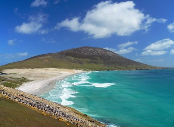 10 Best Falkland Islands Cruises Tours & Trips for 2021 by Adventure Life