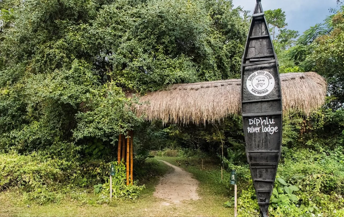 Diphlu River Lodge Kaziranga National Park - Photos & Trips from the ...