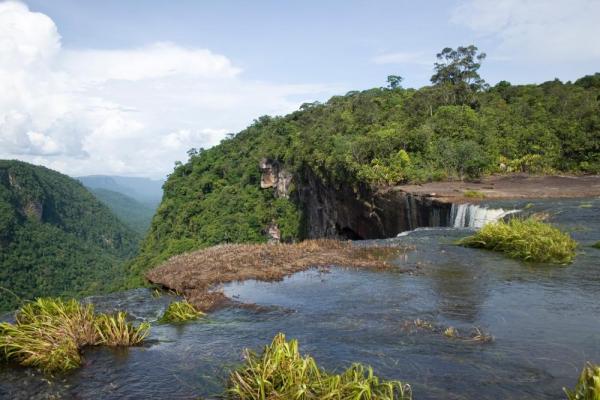 Guyana Tours - Survive the jungle on a Guyana Tour