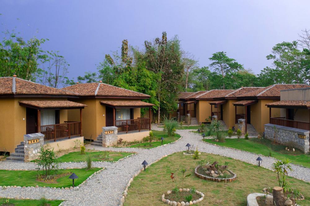 Jungle Villa Resort Chitwan - Photos & Trips from the Hotel - Review by ...