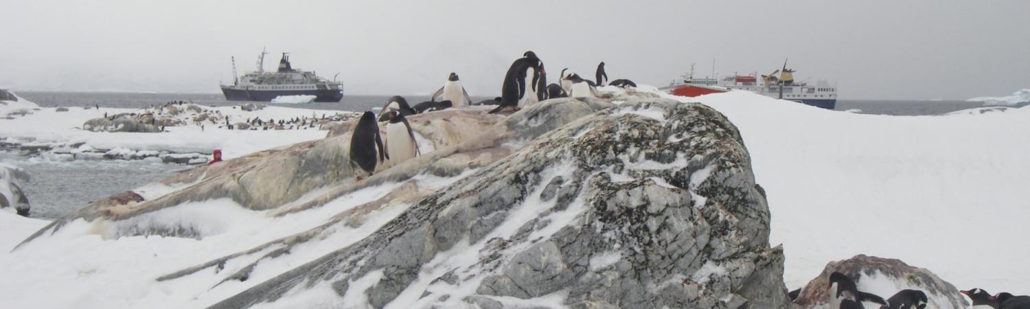 Learn more about the Antarctica History: Past through Present