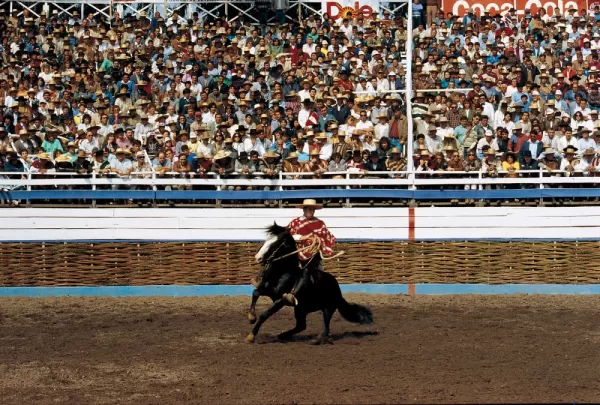 14-Day Cordillera & Andean Secrets Cruise aboard the Le Soleal