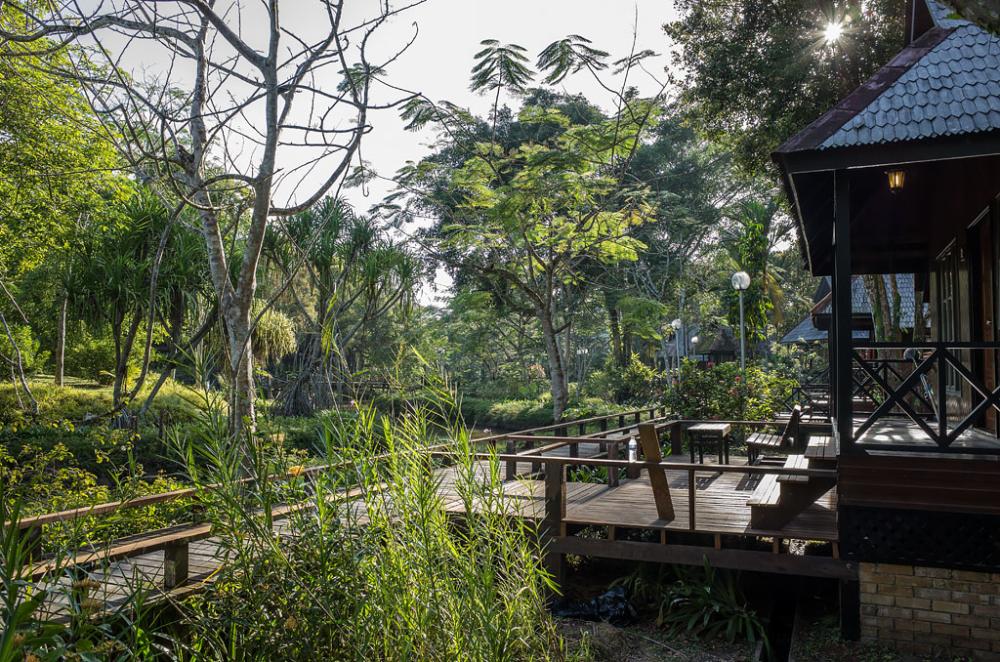 Sepilok Nature Resort Sabah - Photos & Trips from the Hotel - Review by ...