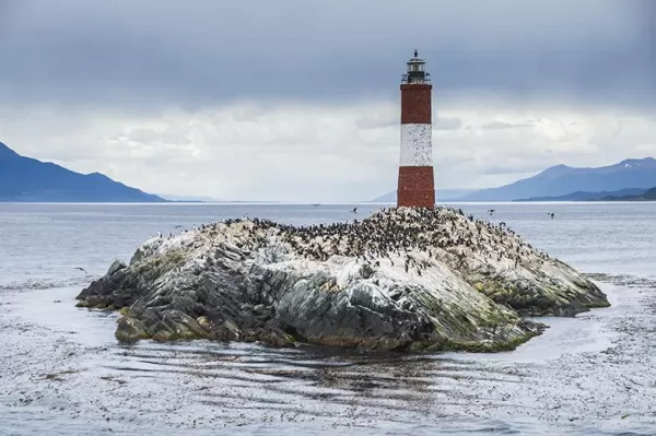 Day trip to Gable Island navigation and penguin colony