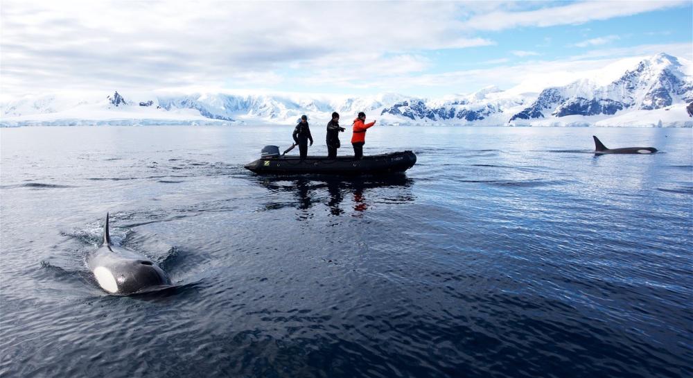 Nansen Polar Expeditions - See Tours, Trips, Costs, Destinations ...