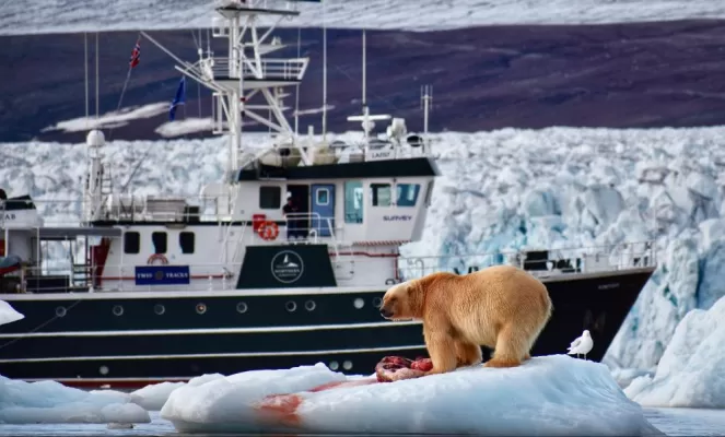 MV Kinfish - Arctic Cruises
