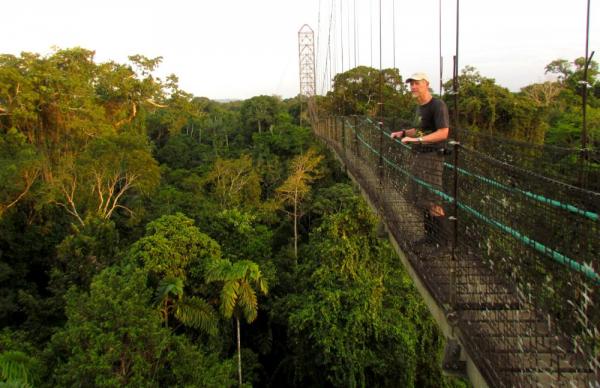 7-Day Ecuadorian Amazon Tour at Sacha Rainforest Lodge