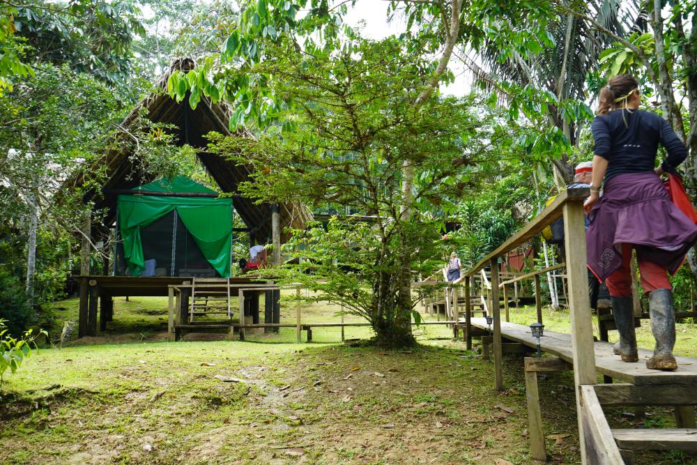 Camping Yasuni National Park Yasuni National Park - Photos & Trips from ...