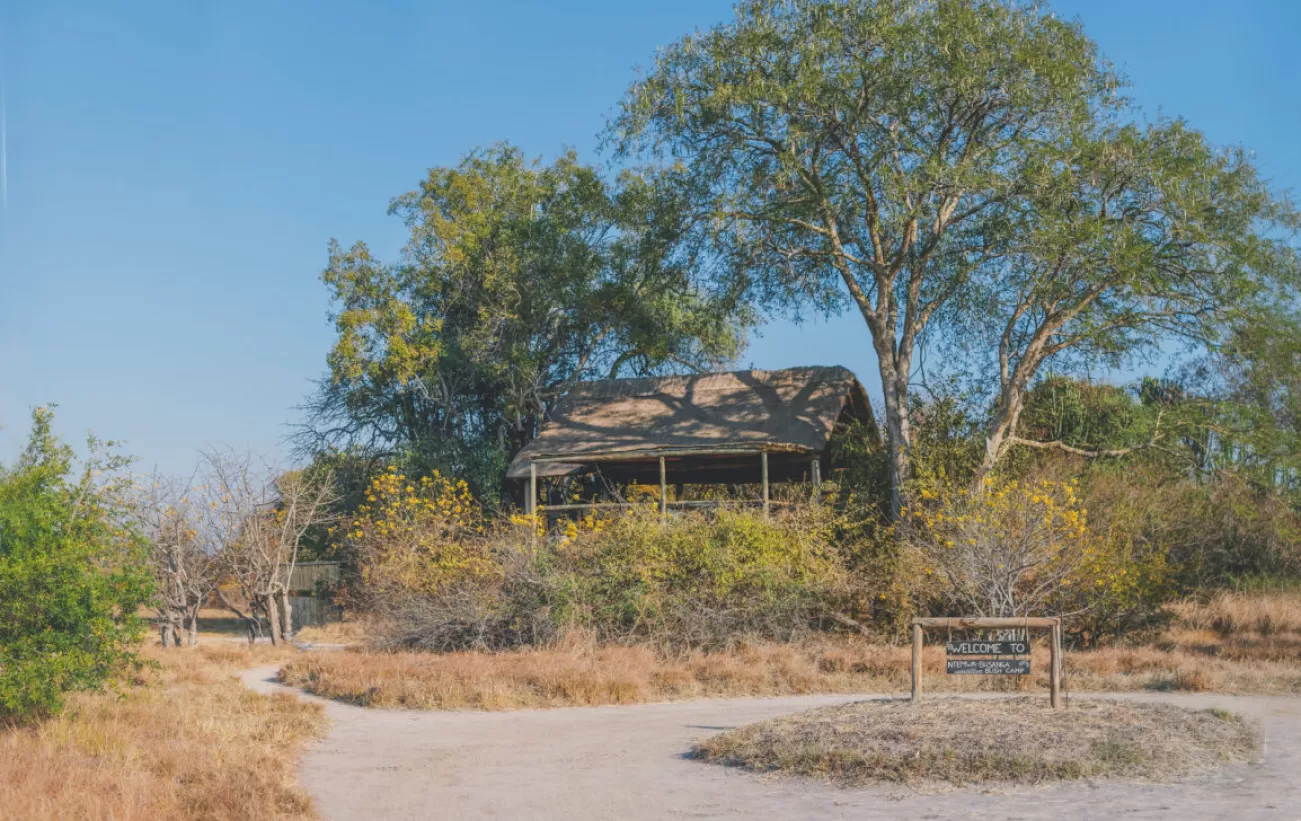 Ntemwa-Busanga Camp Busanga Plains Camp - Photos & Trips from the Hotel ...