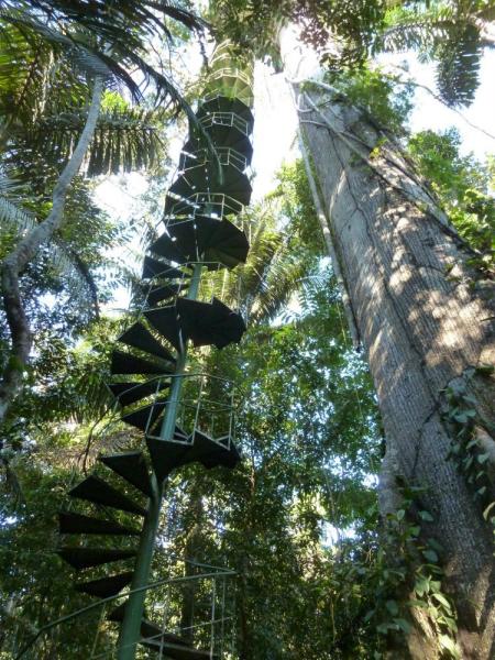 Amazon Tours - Manu Biosphere 8 Day Peru tour