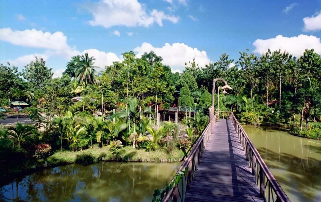 Sepilok Jungle Resort Sabah - Photos & Trips from the Hotel - Review by ...