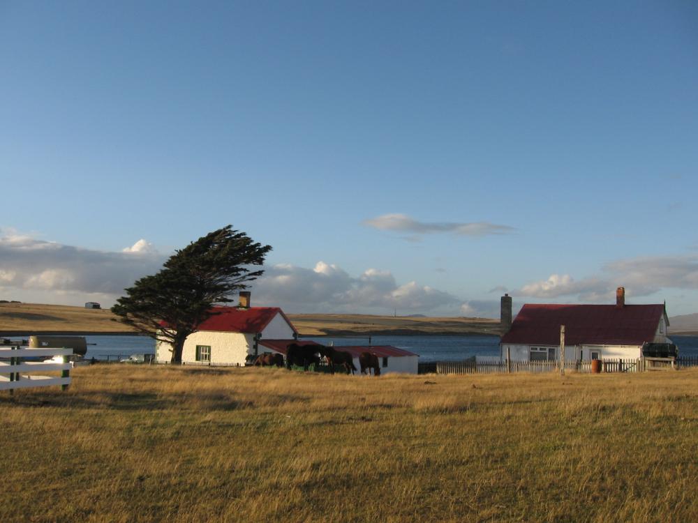 24 Best Falkland Islands Cruises Tours & Trips for 2024-2025 by ...