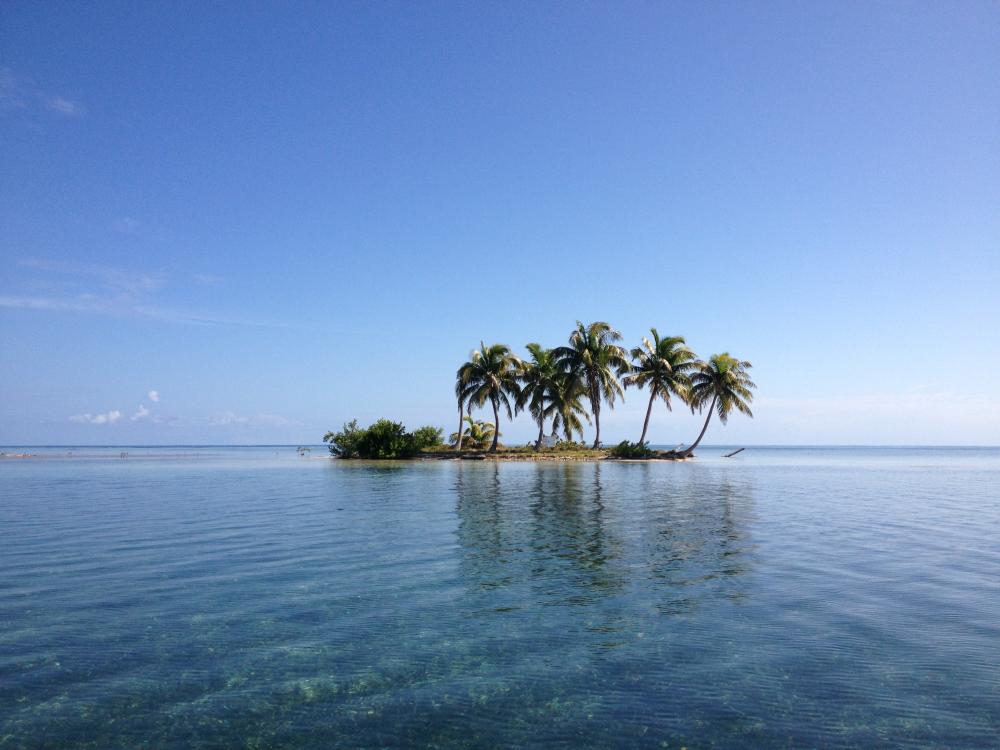 1 Exceptional Turneffe Atoll Snorkeling Trips for 2024-2025