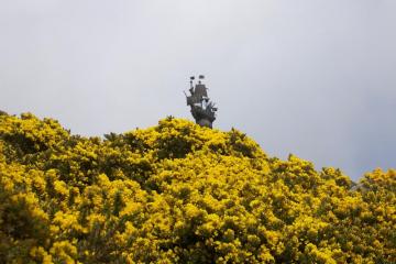 Falkland Islands Tours - Wildlife Discovery 8 Day Falklands Tour