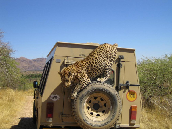 Namibia Safari - Explore the best of Namibia on this African Safari