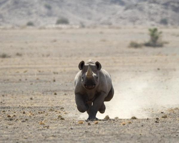 Namibia Safari - Explore the best of Namibia on this African Safari