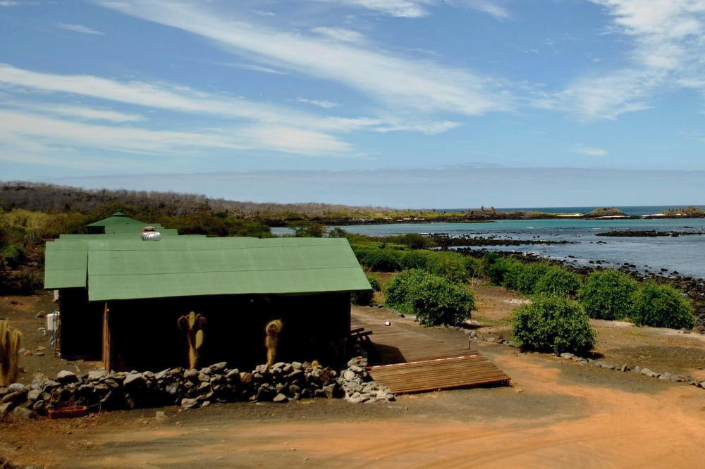 Floreana Lodge - Our land based Galapagos tours offer a variety of ...