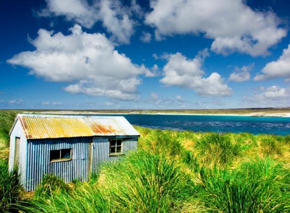 10 Best Falkland Islands Cruises Tours & Trips for 2021 by Adventure Life