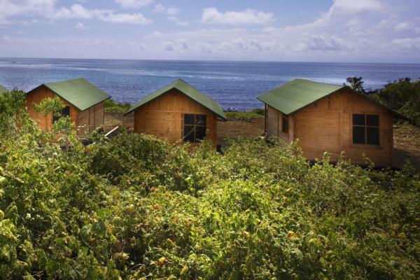 Floreana Lodge - Our land based Galapagos tours offer a variety of ...