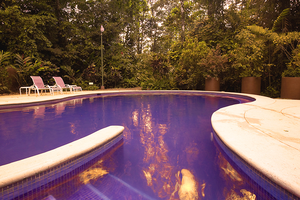 Selva Verde Lodge - Our Costa Rica tours offer a wide range of ...