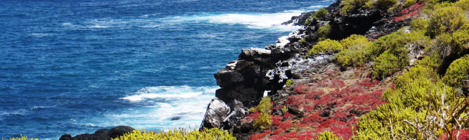 Hiking in the Galapagos - A 9-Day Galapagos Land-Based Adventure