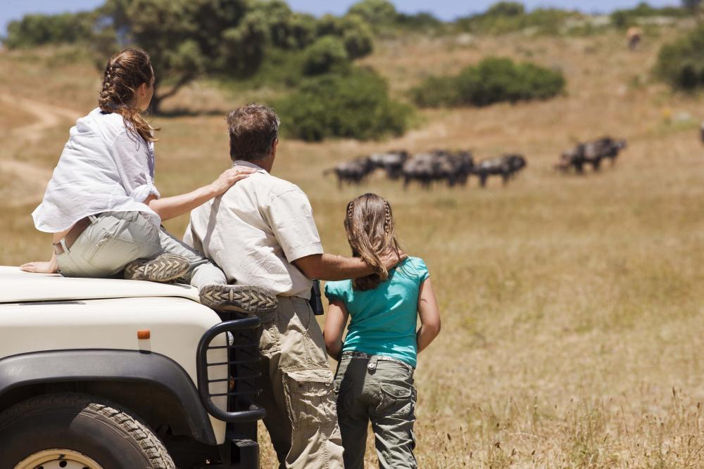 66 Best Land Tours & Trips for 2024-2025