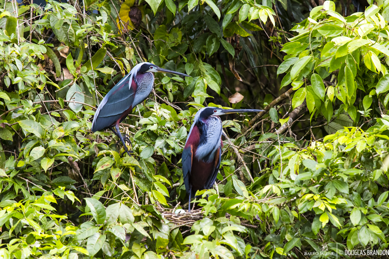 Pacuare Reserve - stay in Costa Rica