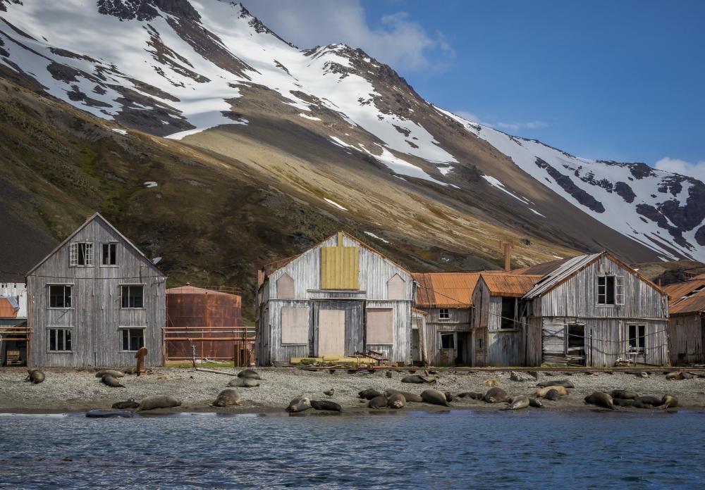 5 Best Cooper Bay Trips, Tours, Cruises & Vacation Packages - Adventure ...