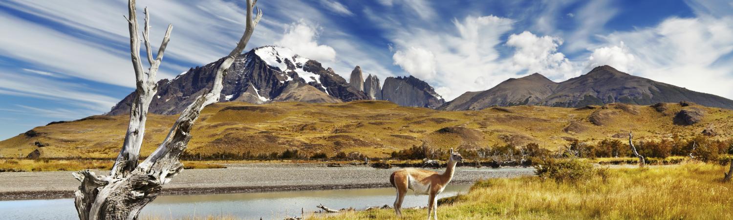 Chile History: Spanish Conquest, Independence, & Pinochet