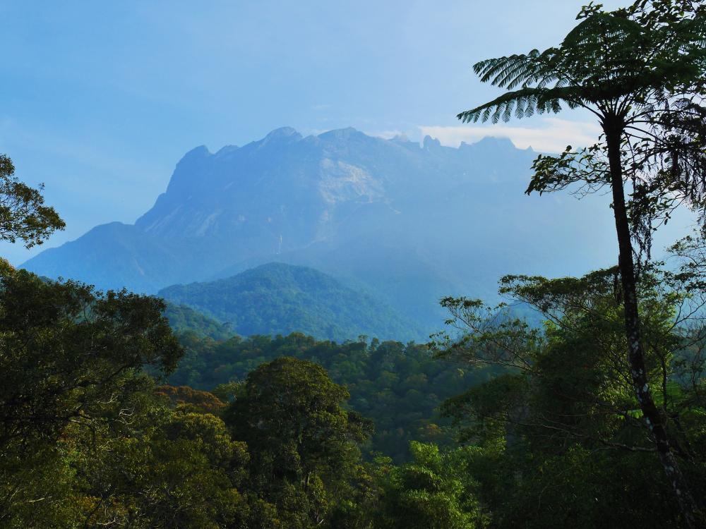 Borneo Tour - Borneo Hiking & Wildlife Adventure 7-Day Tour